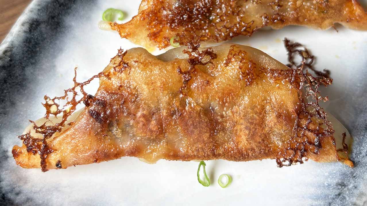 PAN FRIED DUMPLINGS – Madum