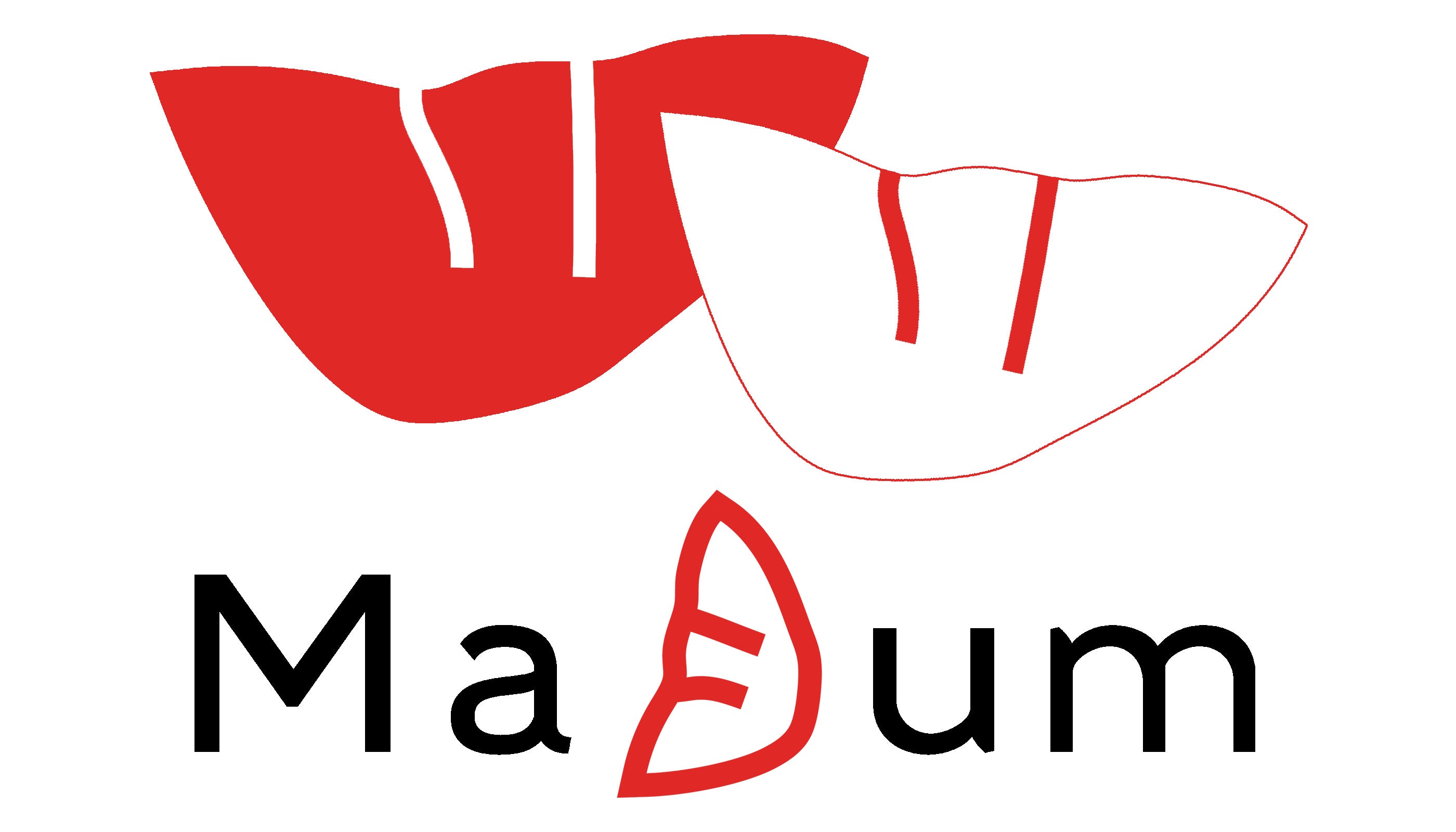 How to Cook? – Madum